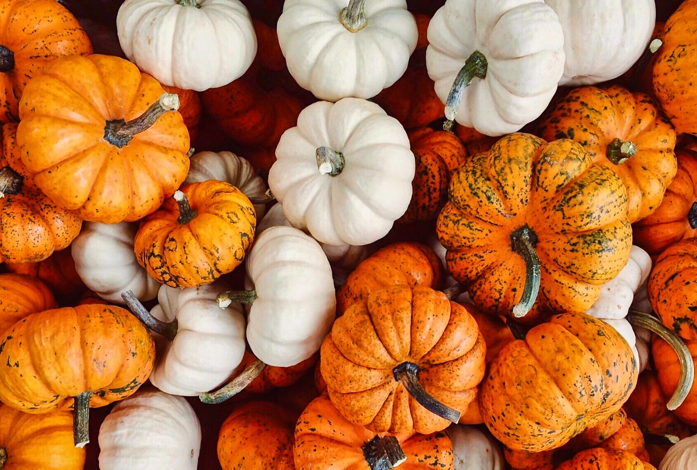 Fall Flavors Tier List | 5 A+ Flavors, 5 C- Flavors